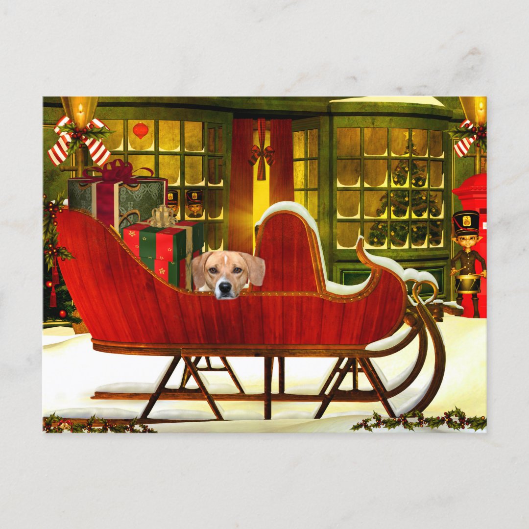 Beagle in a Christmas sleigh Holiday Postcard | Zazzle