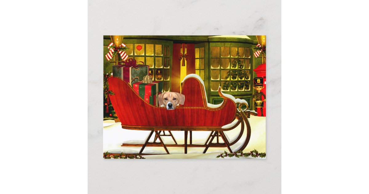 Beagle in a Christmas sleigh Holiday Postcard | Zazzle