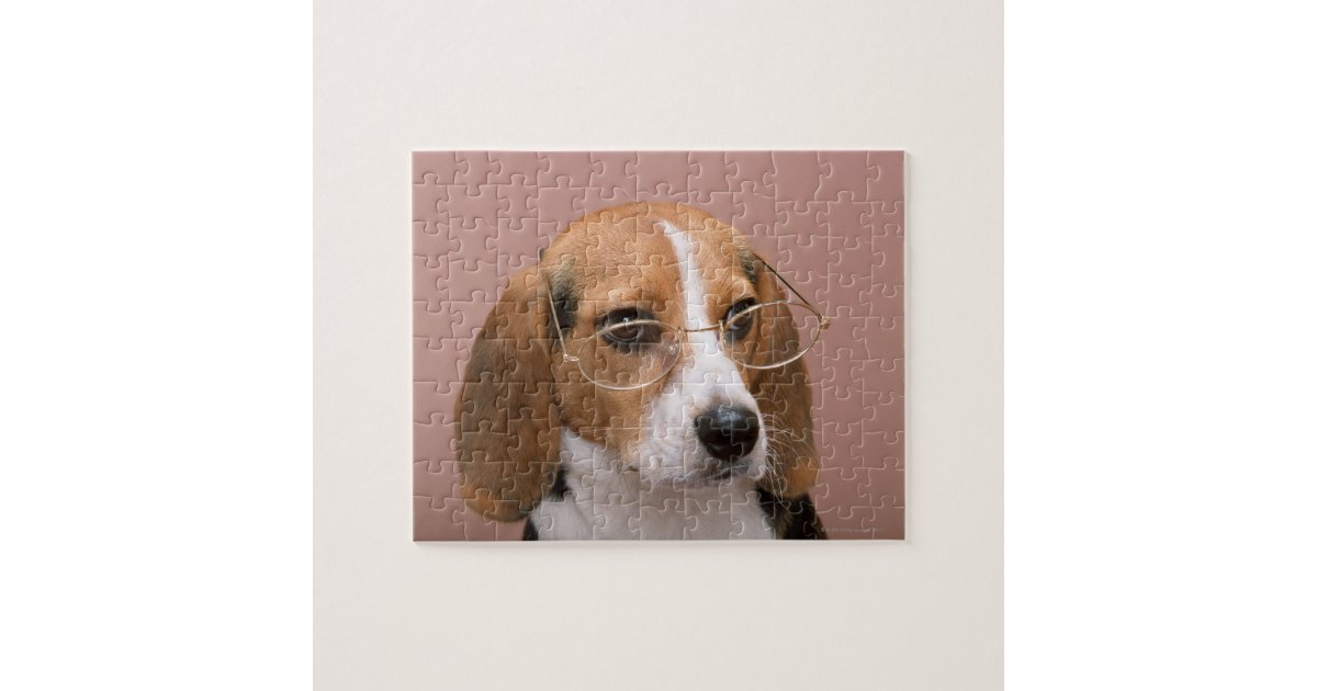 Beagle Jigsaw Puzzle | Zazzle
