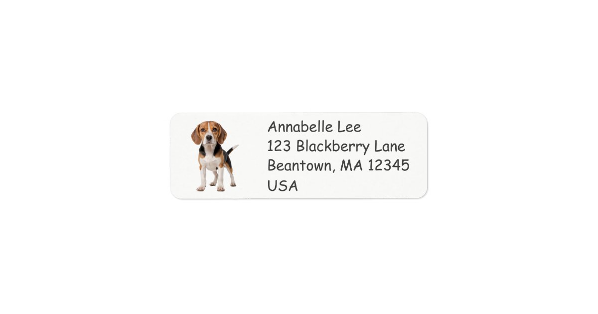 Beagle Label | Zazzle