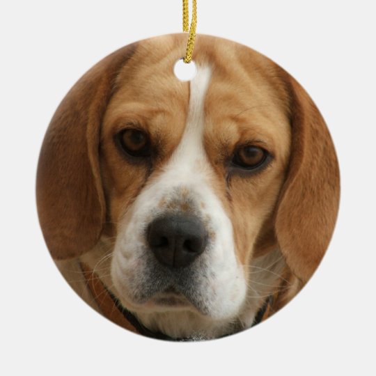 Beagle Ornament | Zazzle.com