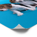 Beagle Puppies Poster | Zazzle