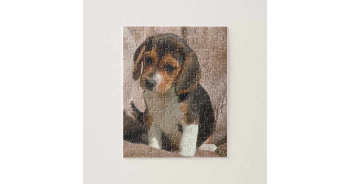 Beagle Puppy Dog Puzzle | Zazzle