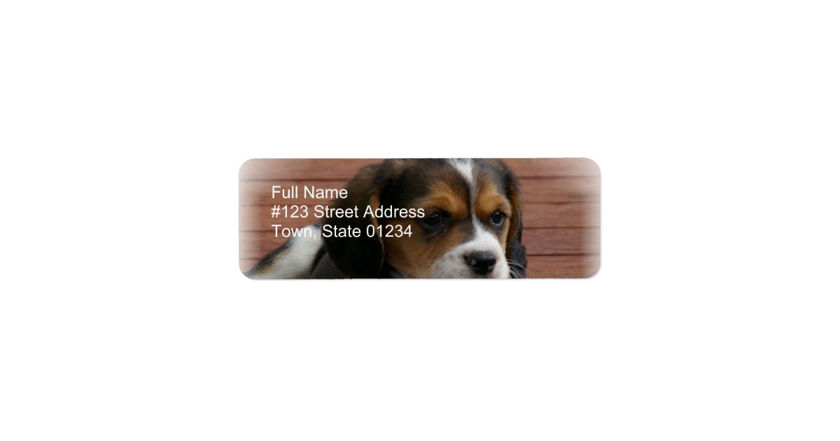 Beagle Puppy Dog Return Address Label | Zazzle
