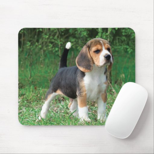 Beagle Puppy Mouse Pad | Zazzle