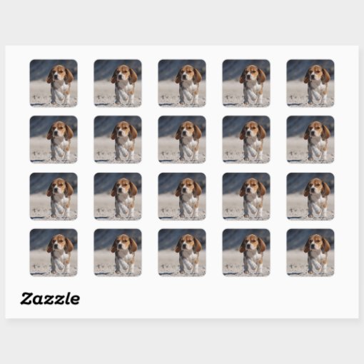 Beagle puppy square sticker | Zazzle