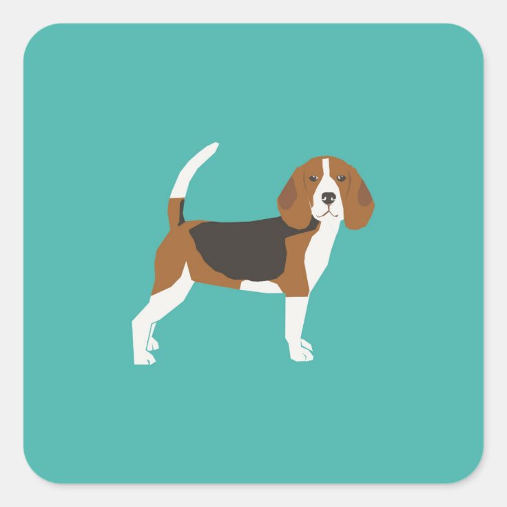 Beagle sticker | Zazzle