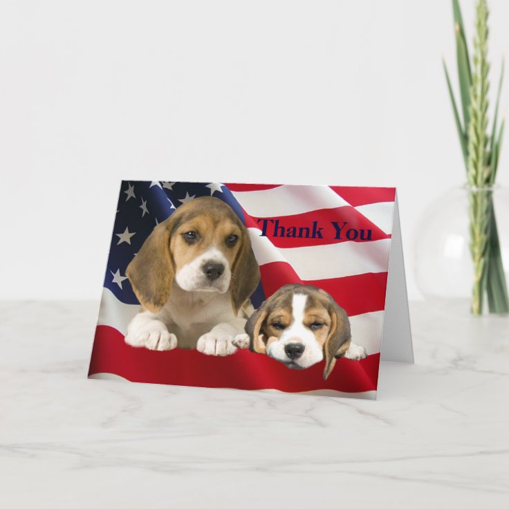 Beagle Thank You Greeting Card | Zazzle