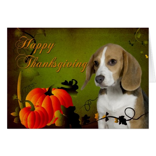 Beagle Thanksgiving Card | Zazzle.com