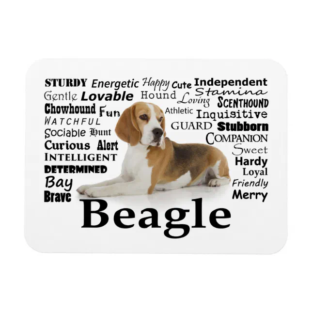 Beagle Traits Magnet | Zazzle