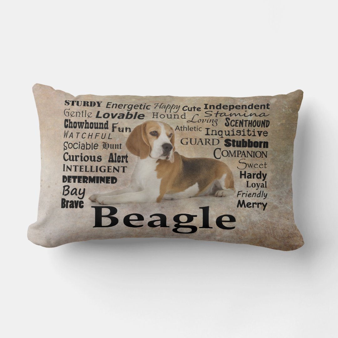 Beagle Traits Pillow | Zazzle