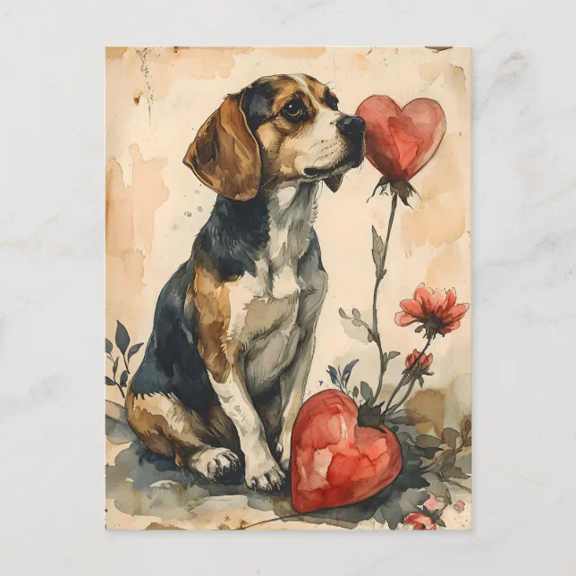 Beagle Vintage Valentine's Day Postcard | Zazzle