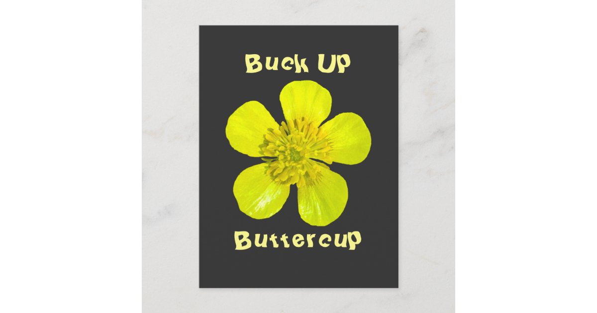Beaming Buttercup Flower - Buck Up Buttercup. Postcard | Zazzle