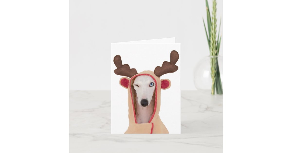 Beans Winking Reindeer blank cards | Zazzle