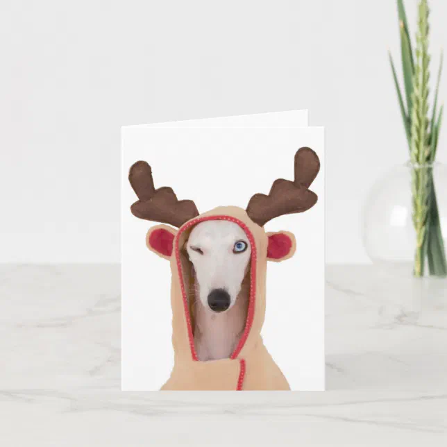 Beans Winking Reindeer blank cards | Zazzle