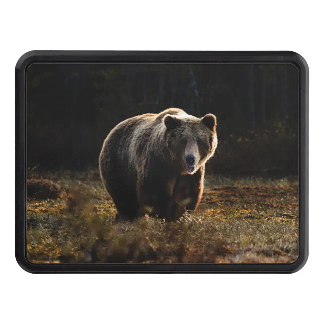 Bear Hitch Cover | Zazzle