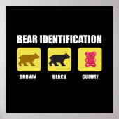 Bear Identification Funny Poster | Zazzle