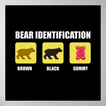 Bear Identification Funny Poster | Zazzle