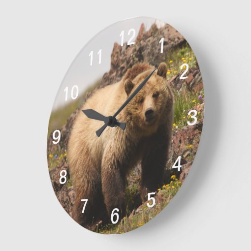 bear large clock | Zazzle