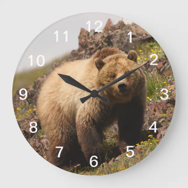 bear large clock | Zazzle