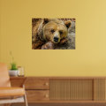 Bear Poster | Zazzle