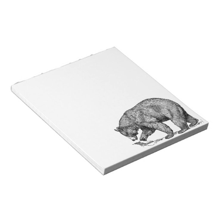 BEAR SKETCH NOTEPAD | Zazzle