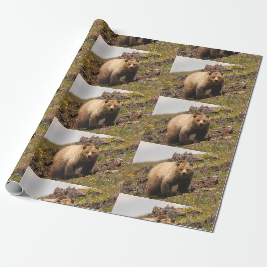 bear wrapping paper | Zazzle.com