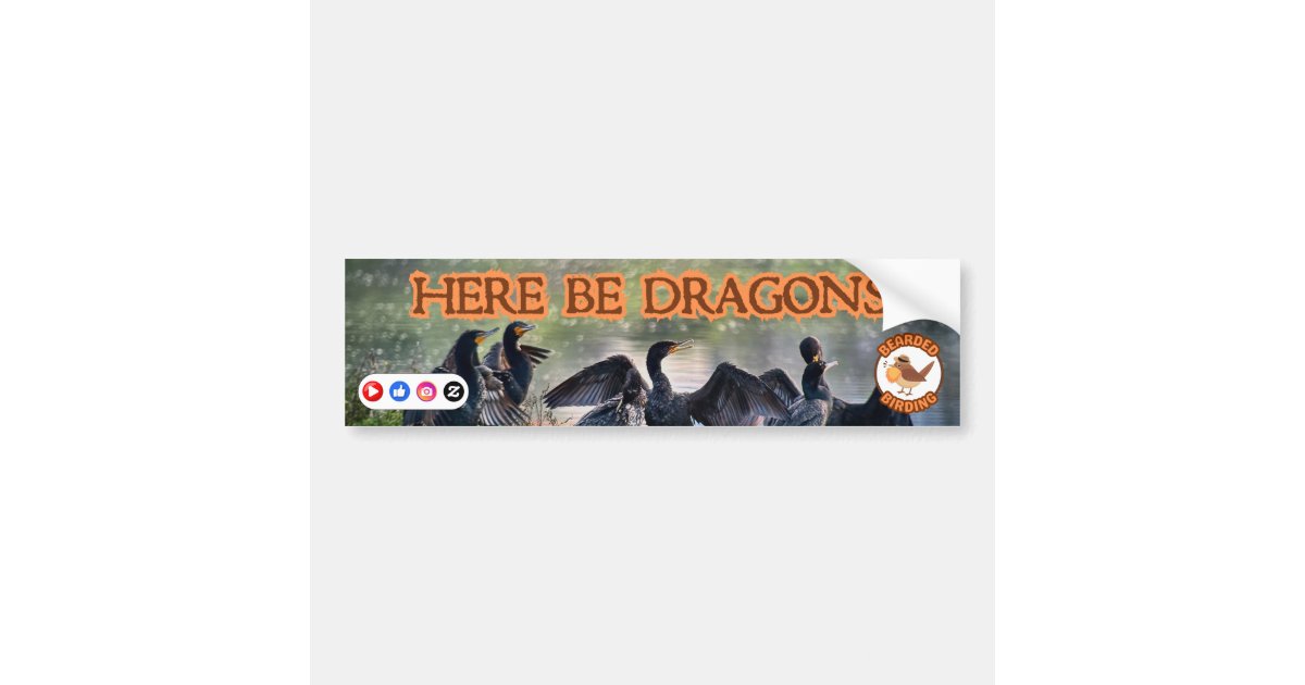 Bearded Birding: Here Be Dragons Bumper Sticker | Zazzle