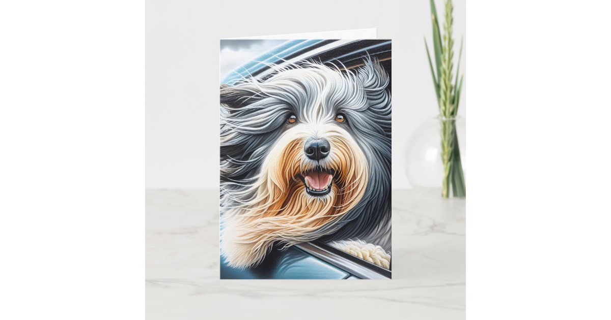 Bearded Collie In Car Window Card | Zazzle
