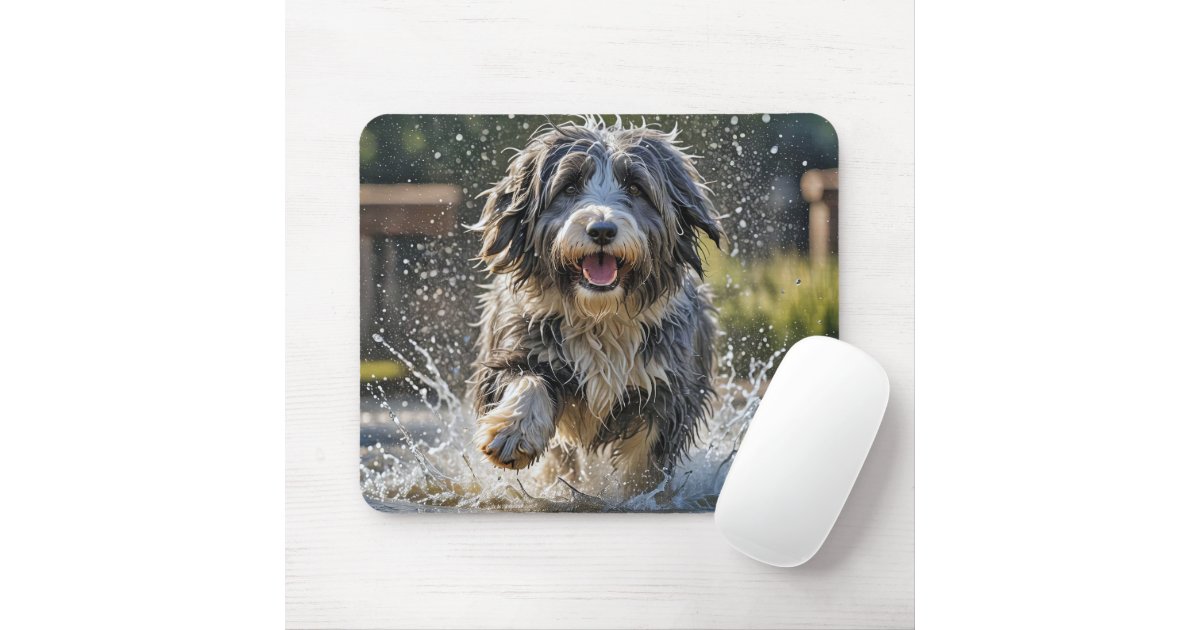 Bearded Collie In Water Puddle Mouse Pad | Zazzle