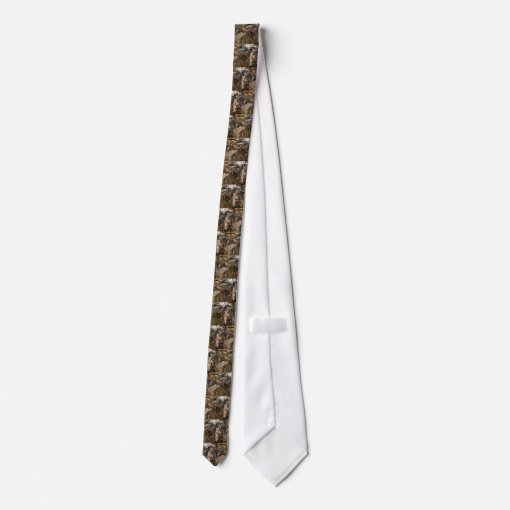 Bearded dragon lizard tie | Zazzle