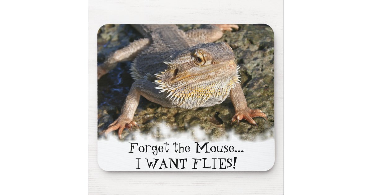 Bearded Dragon Series Mouse Pad | Zazzle