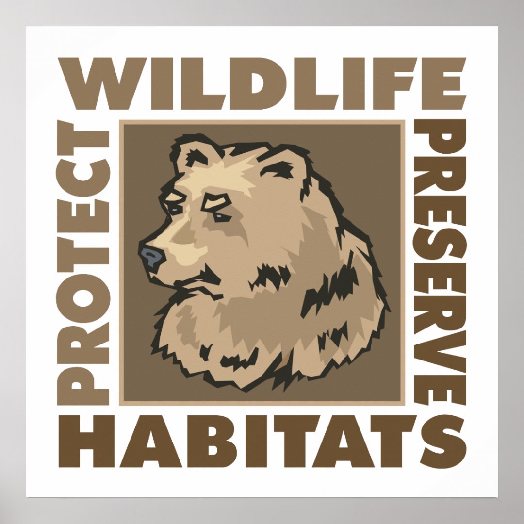 Bears - Protect Wildlife Preserve Habitats Poster | Zazzle