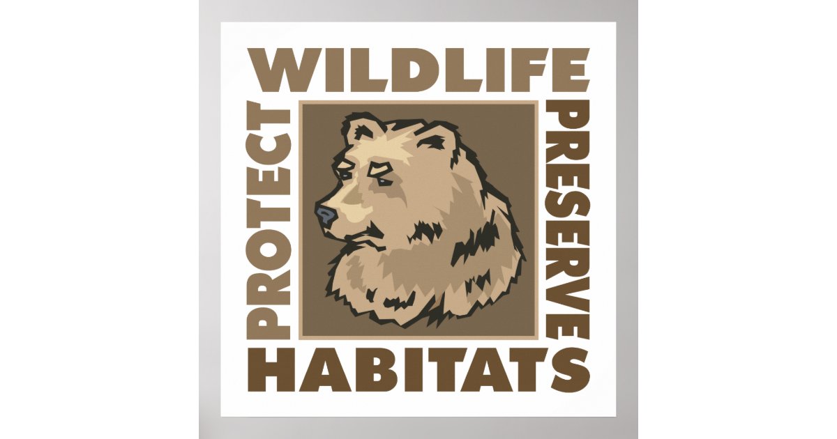 Bears - Protect Wildlife Preserve Habitats Poster | Zazzle