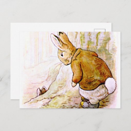 Beatrix Potter - Bunny Illustration Postcard | Zazzle