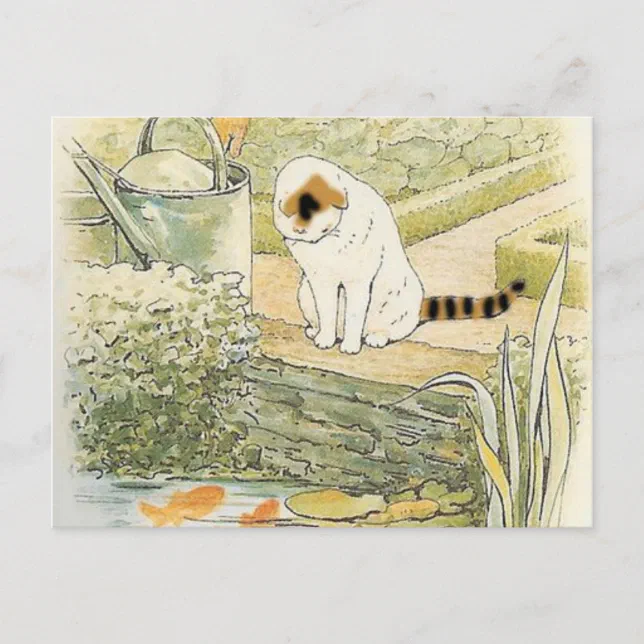 Beatrix Potter - White Cat Postcard | Zazzle
