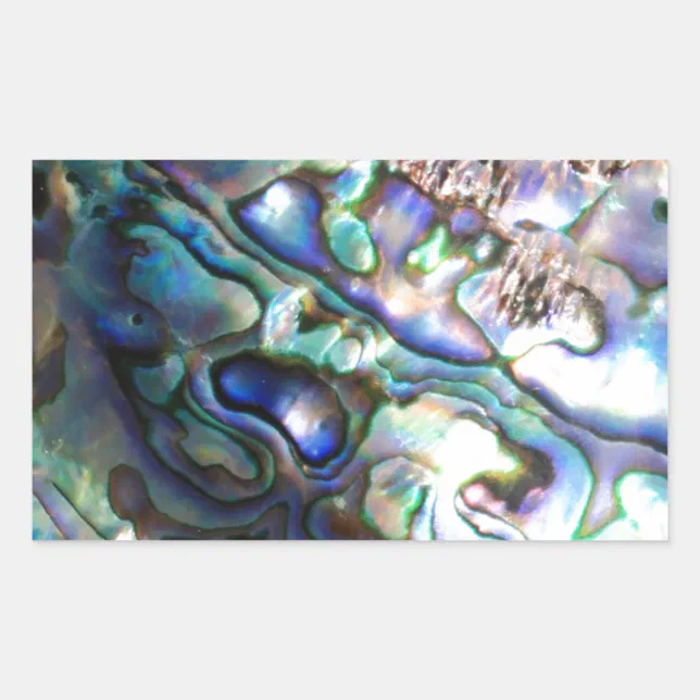 Beautiful abalone shell rectangular sticker | Zazzle
