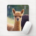 Beautiful Alpaca Mousepad | Zazzle