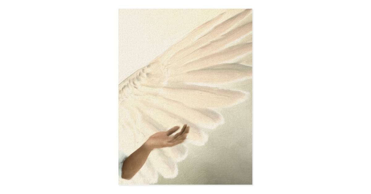 Beautiful Angel Wings - Caring & Calm Postcard | Zazzle.com