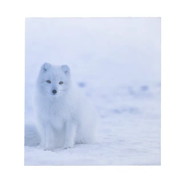Beautiful Arctic Fox Notepad | Zazzle