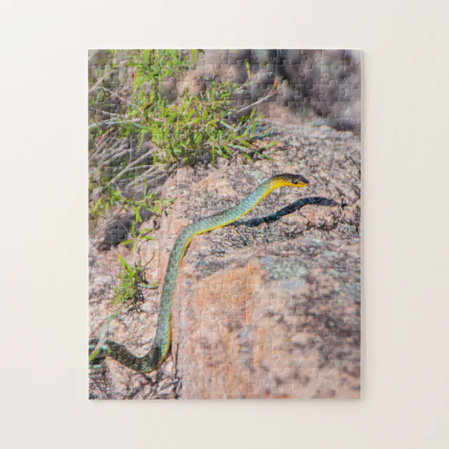 Beautiful Australian Green Tree Snake, 252 pieces Jigsaw Puzzle | Zazzle