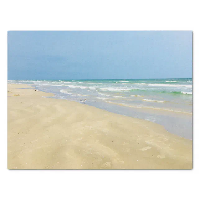 Beautiful Beach Seaside Sandpiper Photography Tissue Paper | Zazzle