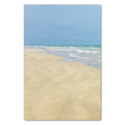Beautiful Beach Seaside Sandpiper Photography Tissue Paper | Zazzle