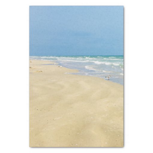 Beautiful Beach Seaside Sandpiper Photography Tissue Paper | Zazzle