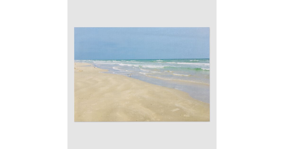 Beautiful Beach Seaside Sandpiper Photography Tissue Paper | Zazzle