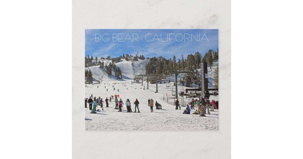 Beautiful Big Bear Postcard! Postcard | Zazzle