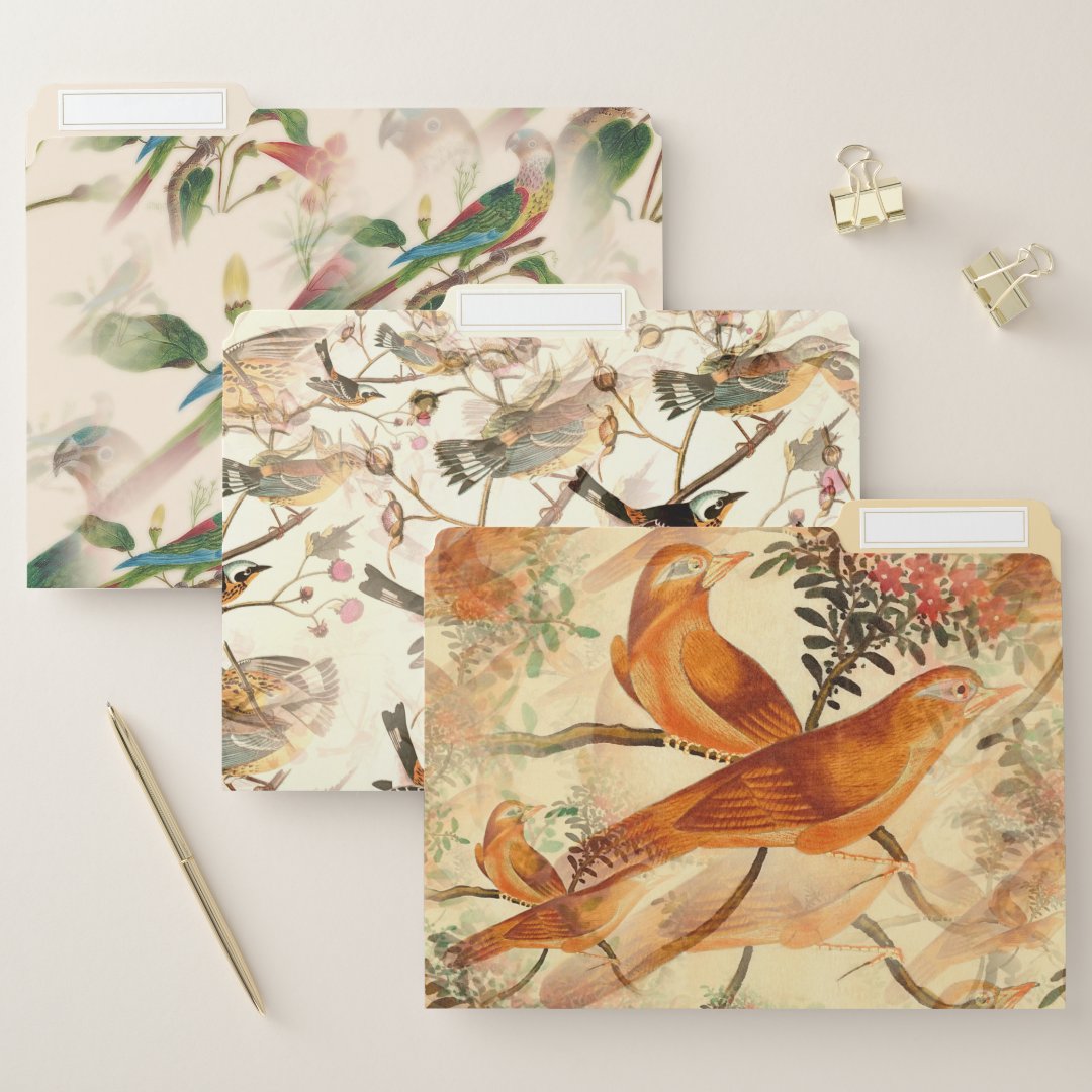 Beautiful Bird Patterns Decorative File Folder | Zazzle