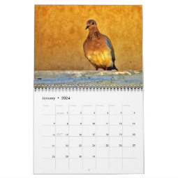 Beautiful Birds Calendar | Zazzle