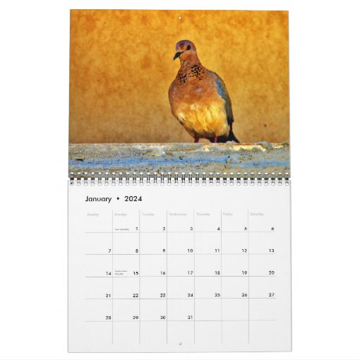 Beautiful Birds Calendar | Zazzle