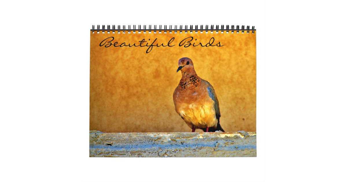 Beautiful Birds Calendar | Zazzle